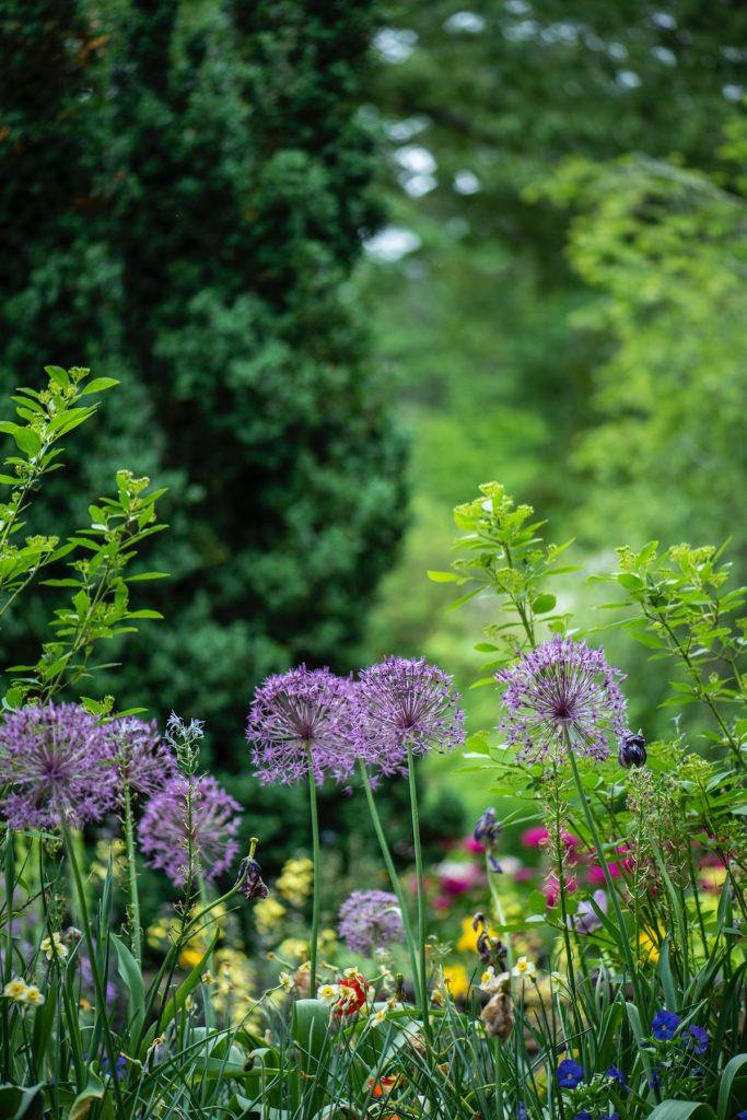 3 Successful Garden Design Principles You Should Not Ignore